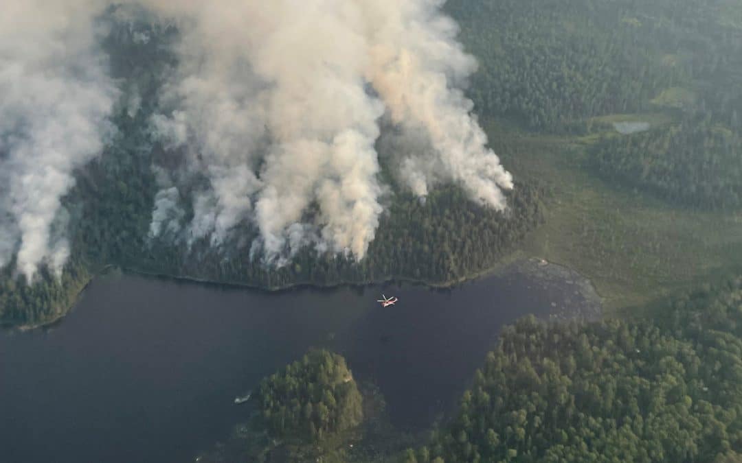 Fire and the Fernberg: Forest Service Proposes Major Project to Prevent ...