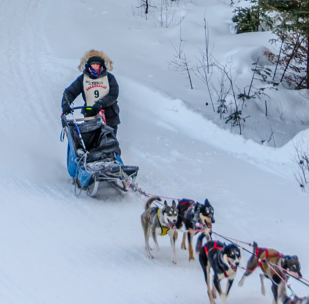 From the Boundary Waters to Alaska: A Musher’s Tale to the Iditarod ...