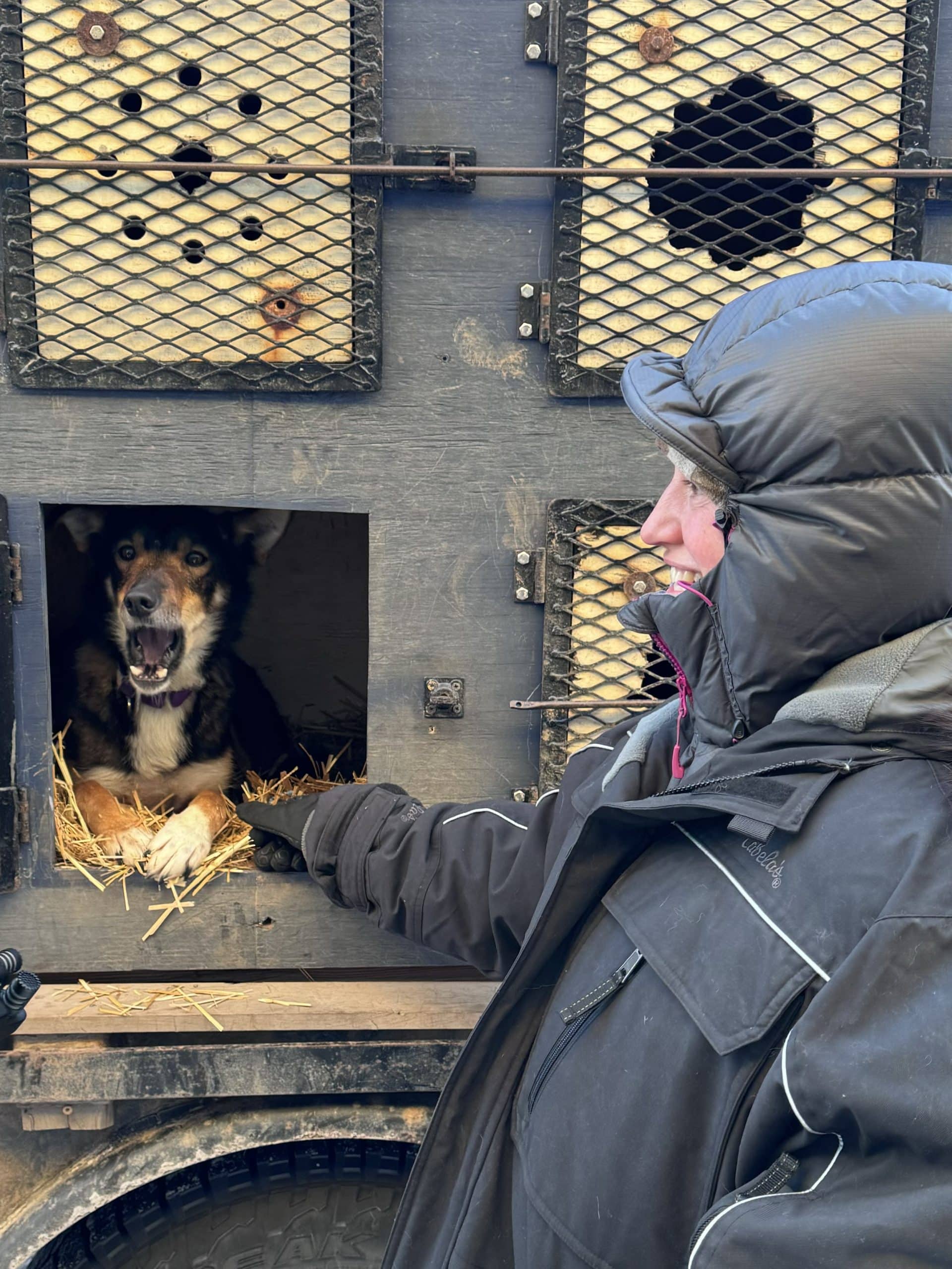 Photo Gallery From the Iditarod of Mushers With Ties to the BWCA ...