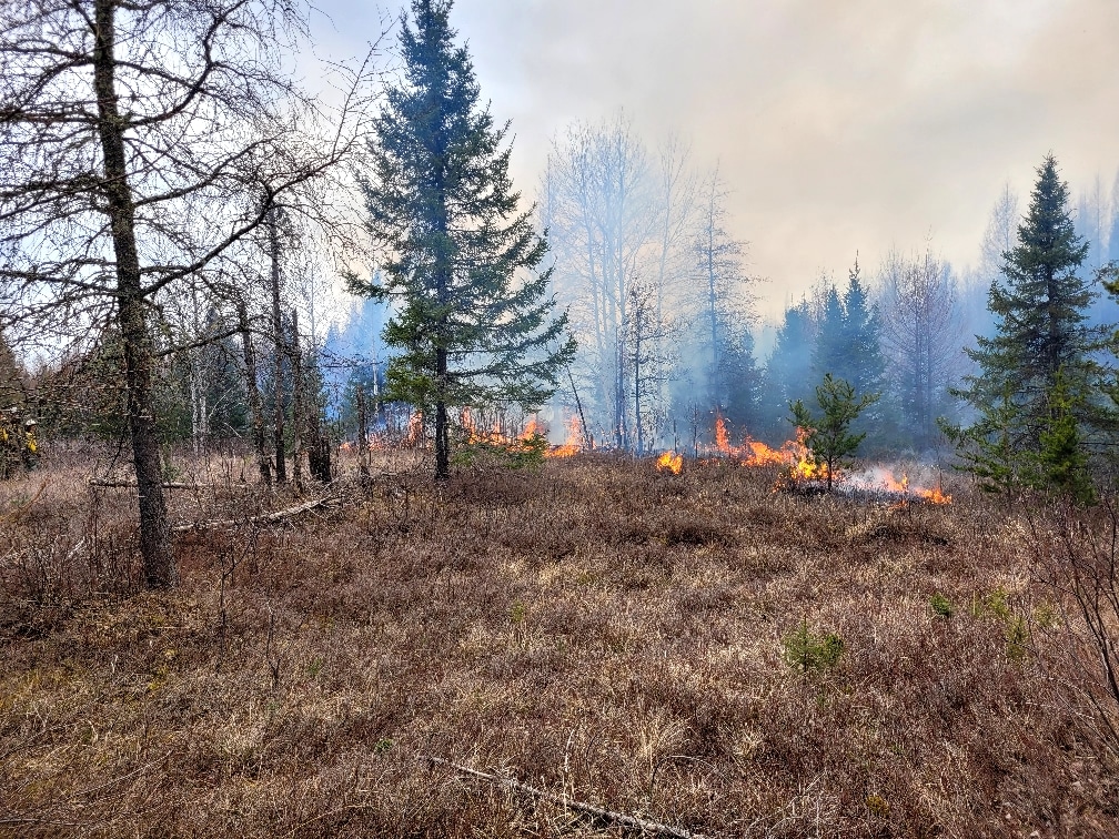 History of Fire Near the Boundary Waters Allows Opportunity to Reflect ...